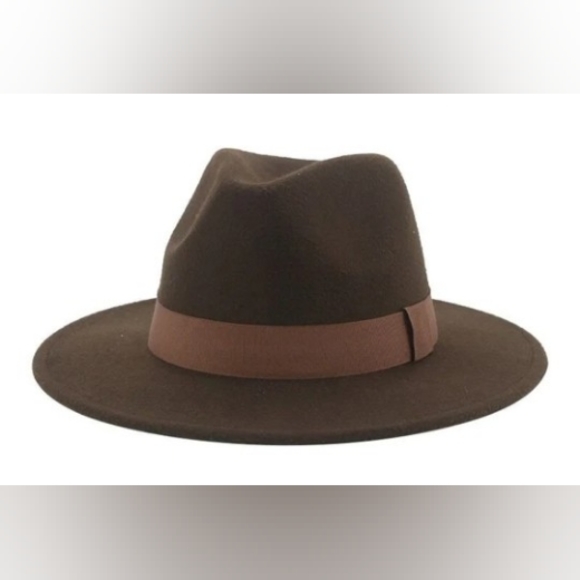 Forbusite | Accessories | Forbustie Brown Wool Felt Wide Brim Fedora ...